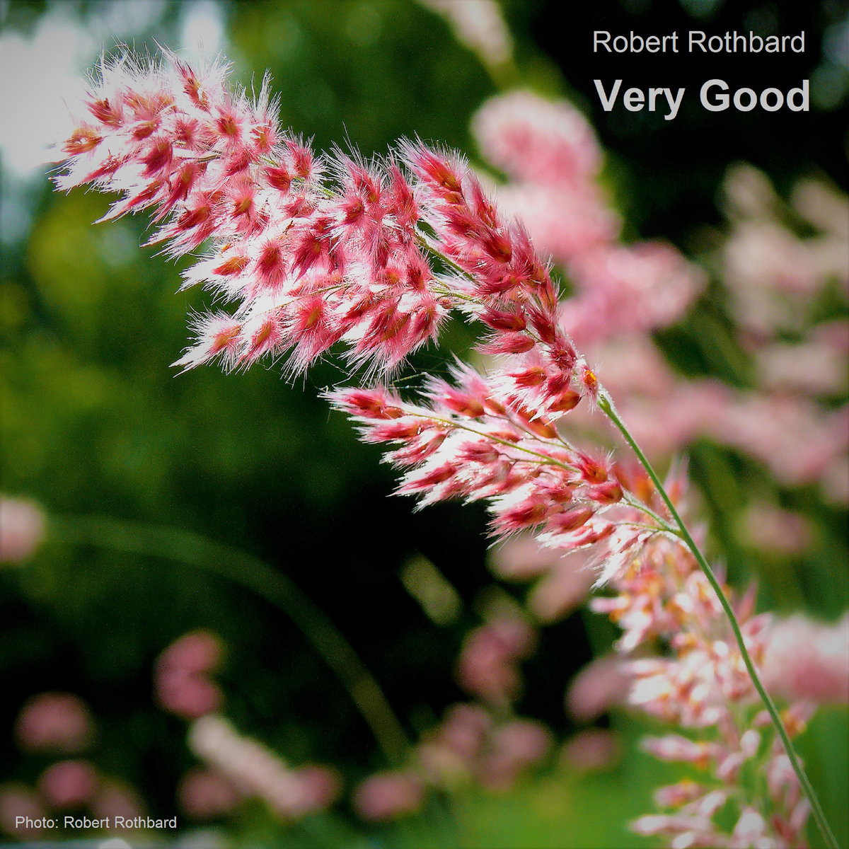 Very Good | Robert Rothbard