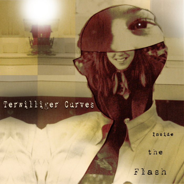 Inside the Flash | Terwilliger Curves