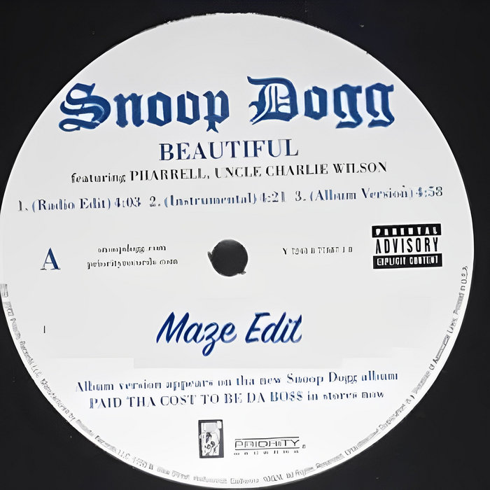Snoop Dogg - Beautiful Ft. Pharrell Williams (Maze Edit) | mazemusic