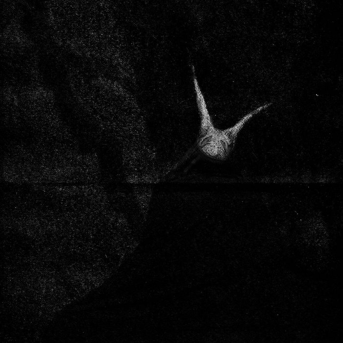 the Invitation | Temul