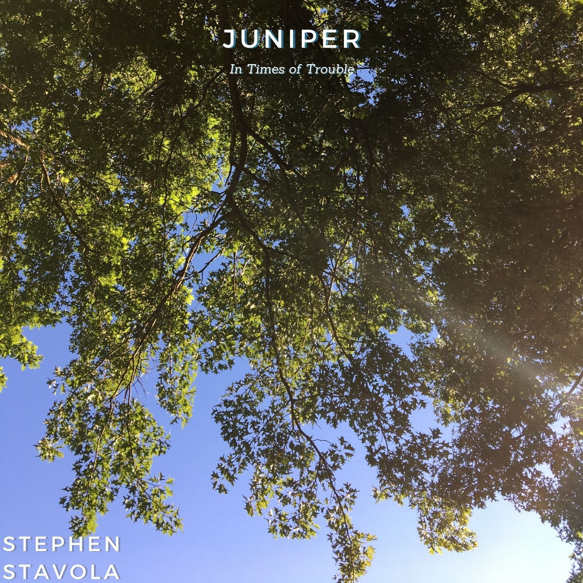 Juniper In Times of Trouble | Stephen Stavola