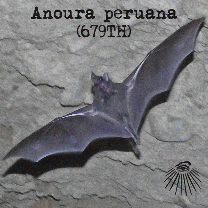 Anoura peruana | Bat Watcher | Catalogue of Life