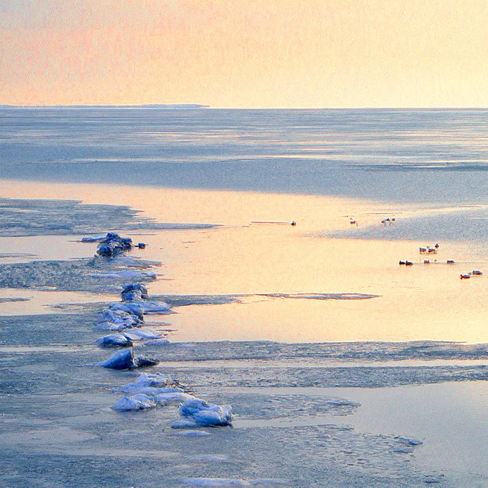 Iceberg ahead! | MS Carina