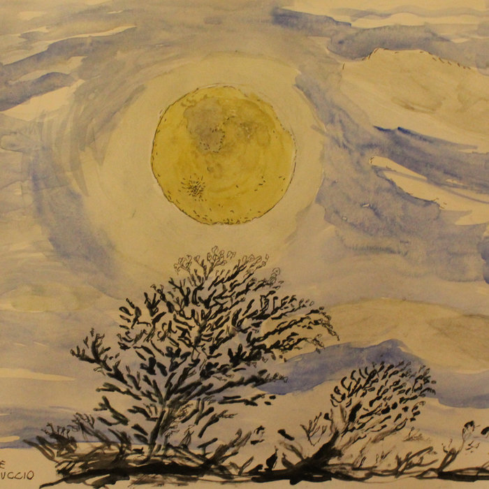 Il centro radio di Coltano | Giuseppe Antonuccio ( Metauro Colossum)