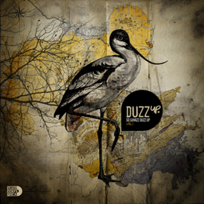 DuzzUp Vol.1 | Duzz Down San