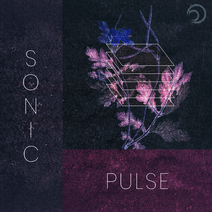 Sonic Pulse | Pure Echo