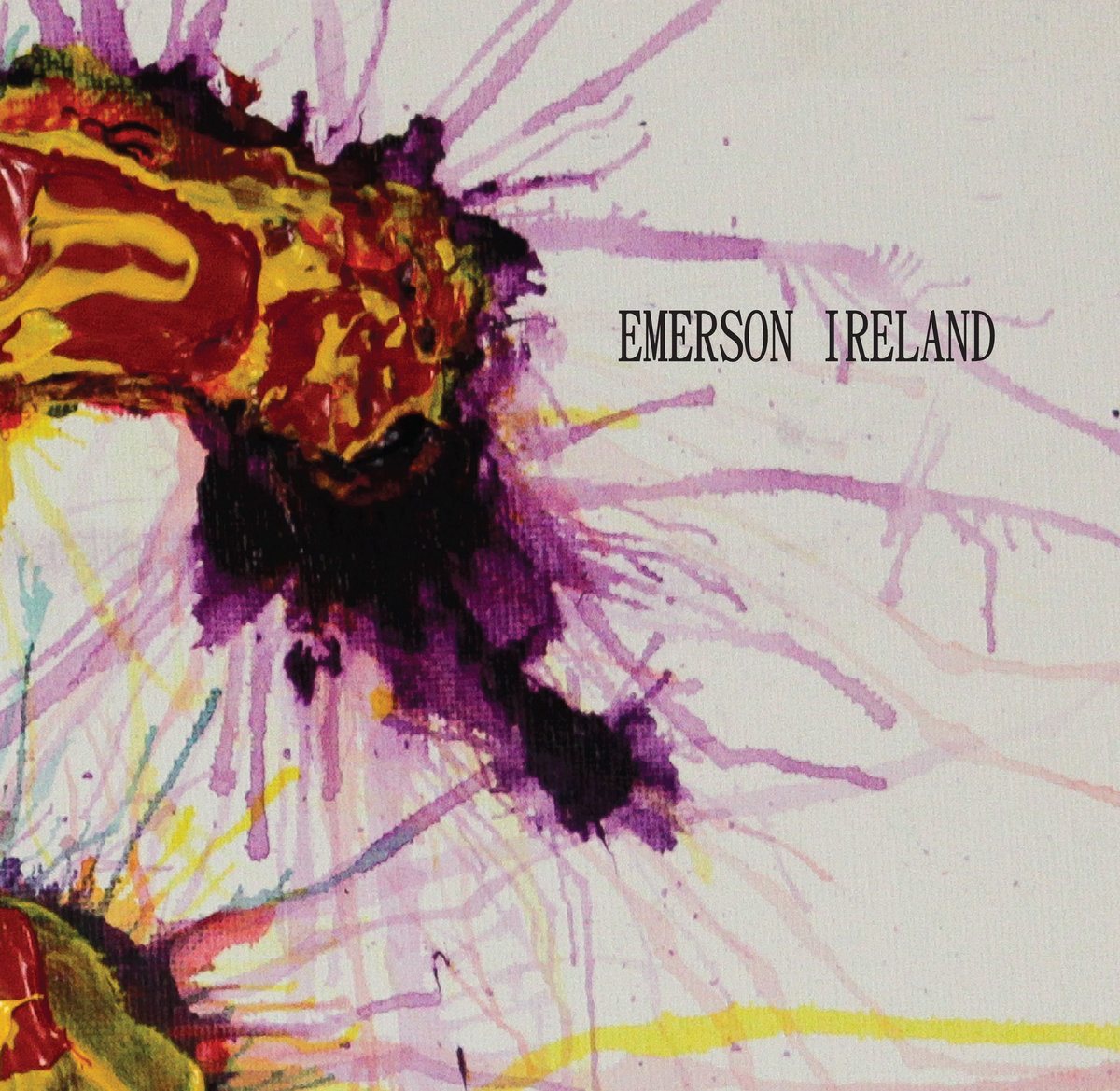 Around Here | Emerson Ireland