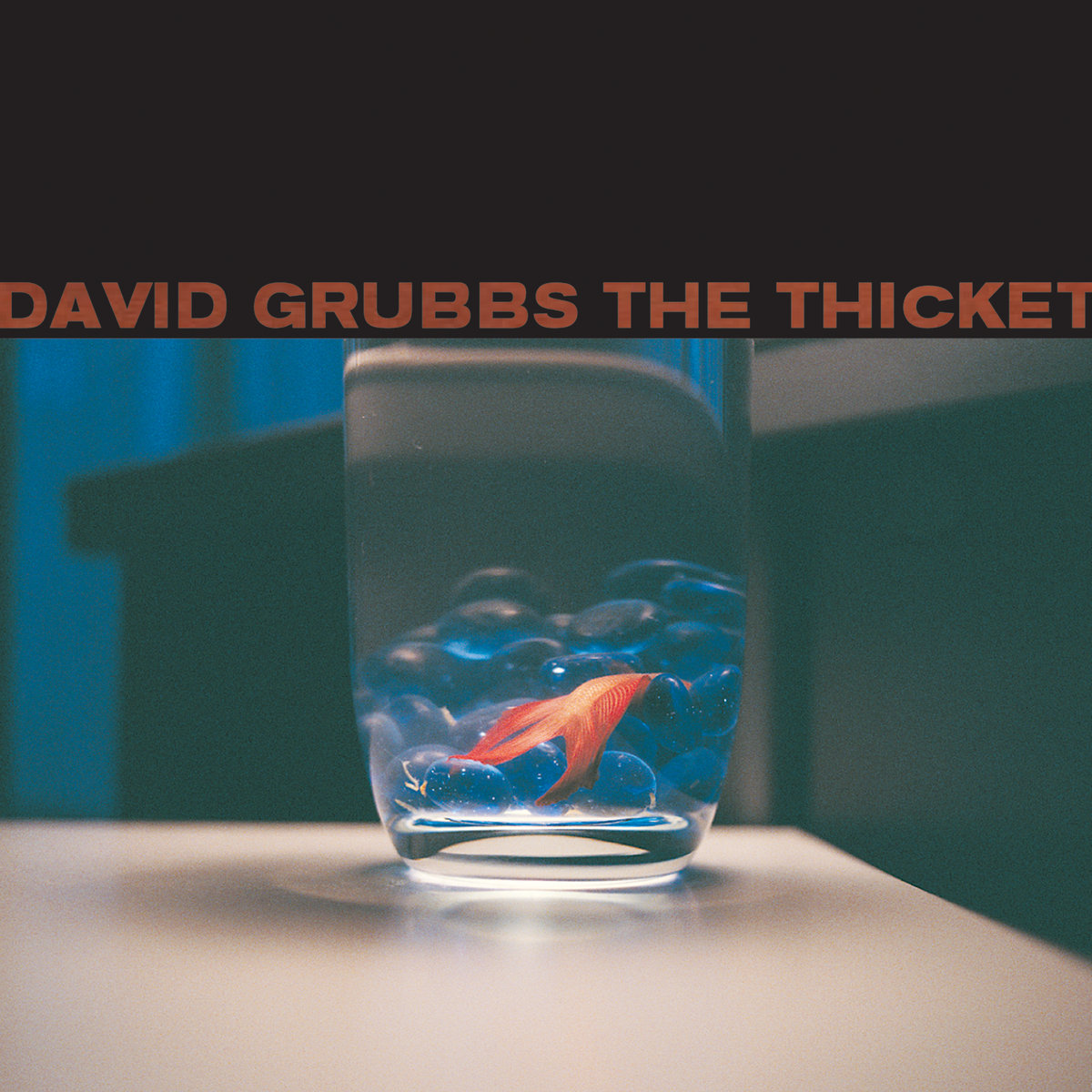 The Thicket | David Grubbs