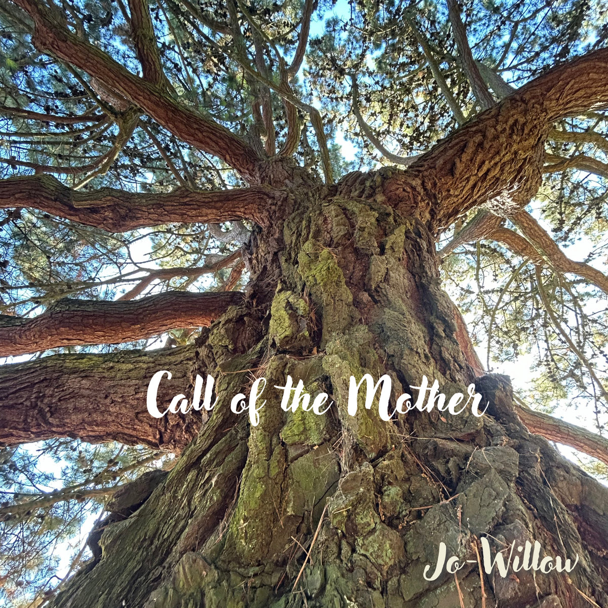 Call of the Mother - Drum Circle Songs | Jo-Willow