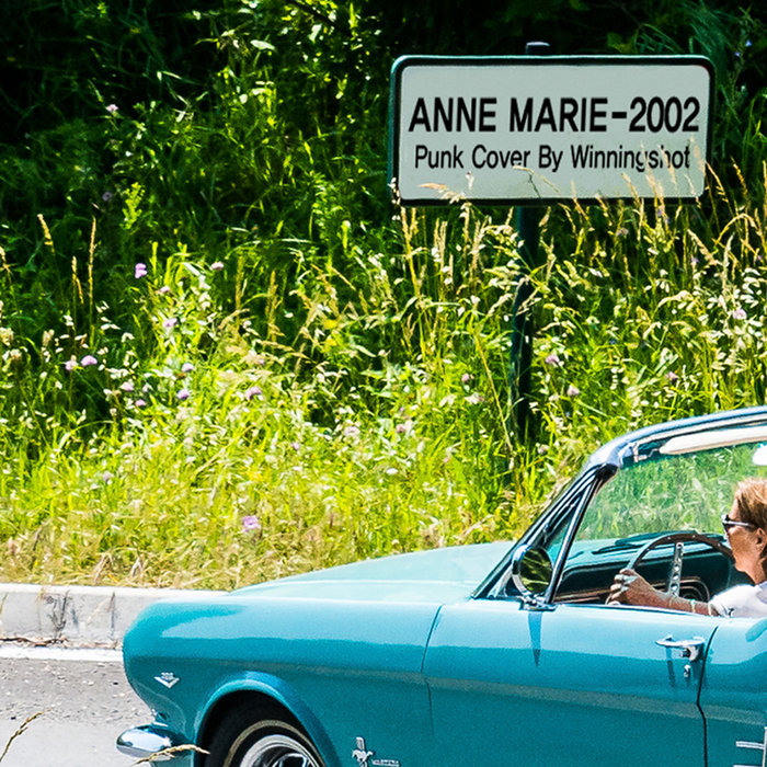 Anne Marie-2002 Punk Cover | winningshot