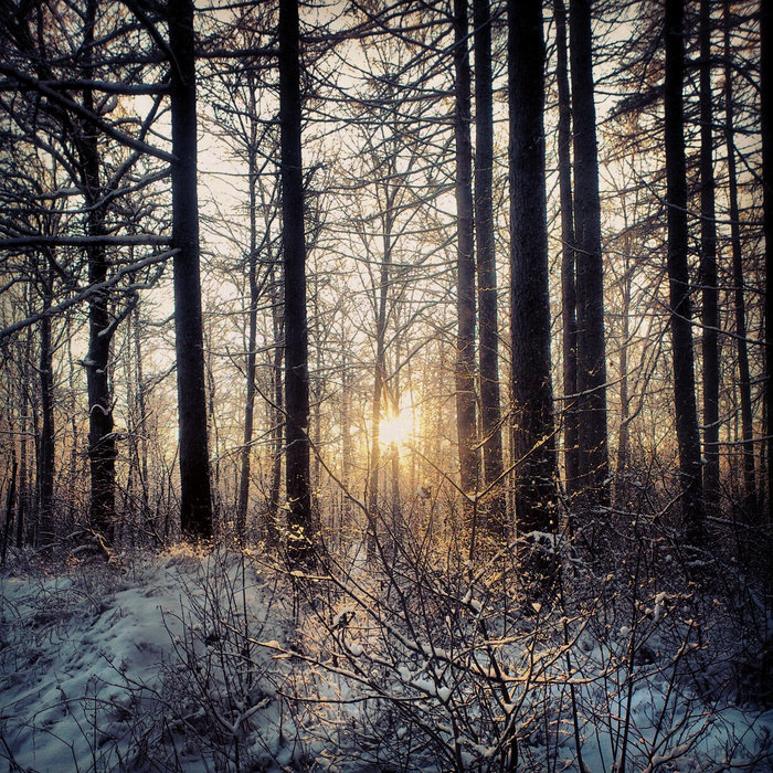 Fading Sunlight | Fading Sunlight