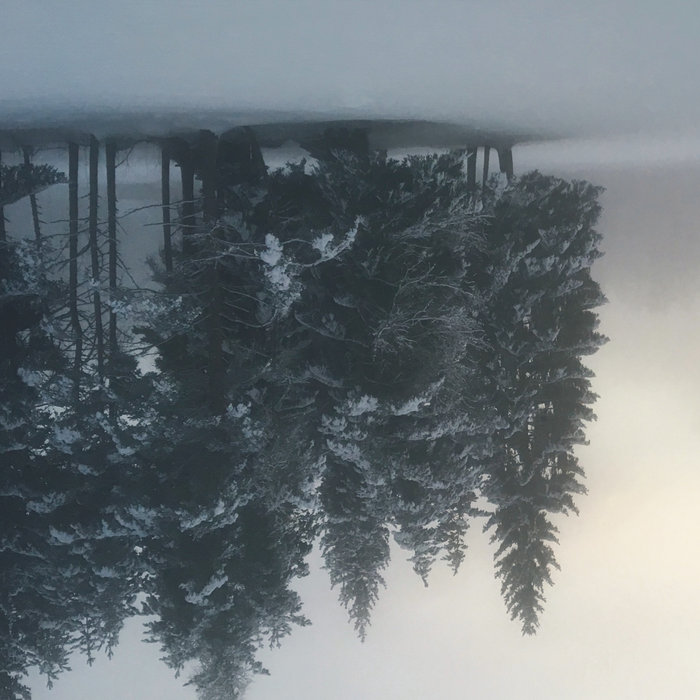 noise in the veins | SOUL AT ZERO | let it bleed records