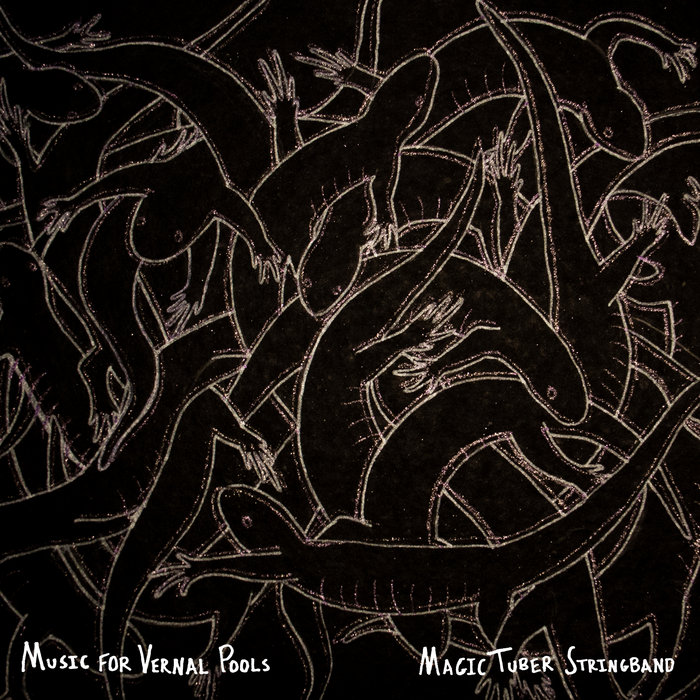 Music for Vernal Pools | Magic Tuber Stringband
