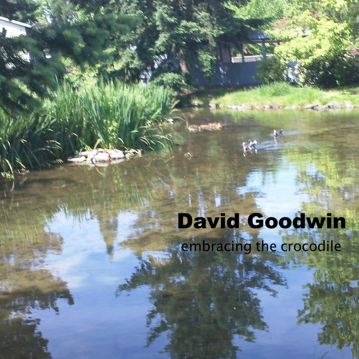 embracing the crocodile | David Goodwin