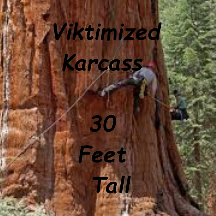 30 Feet Tall | Viktimized Karcass
