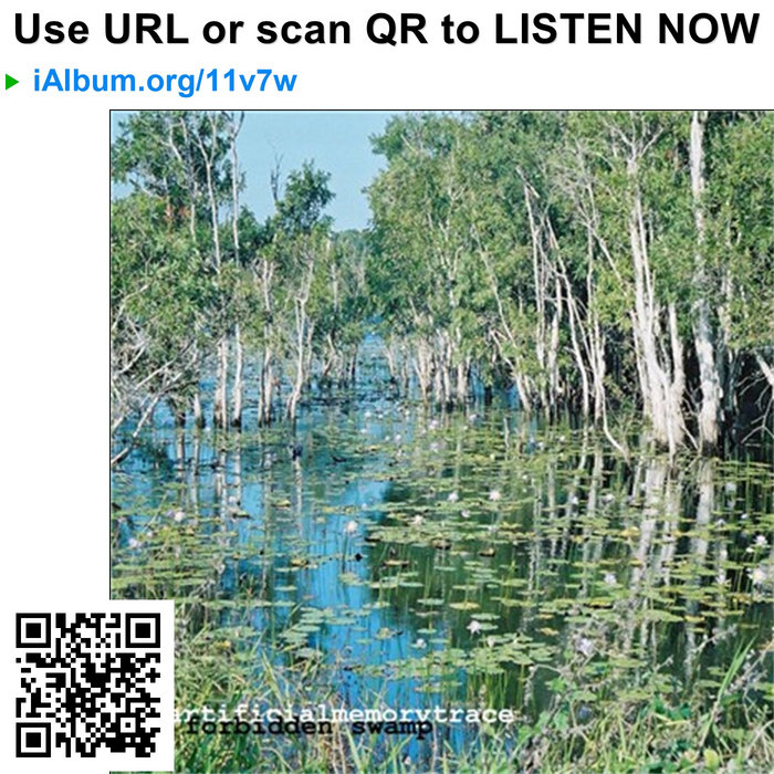 Forbidden Swamp | Artificial Memory Trace