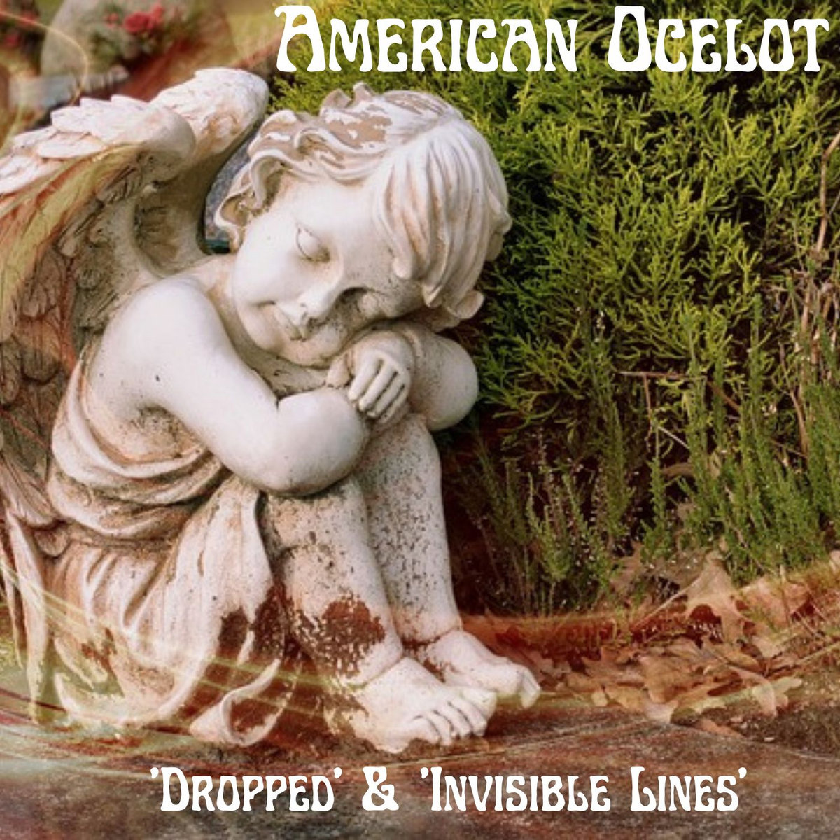 Dropped and Invisible Lines | American Ocelot