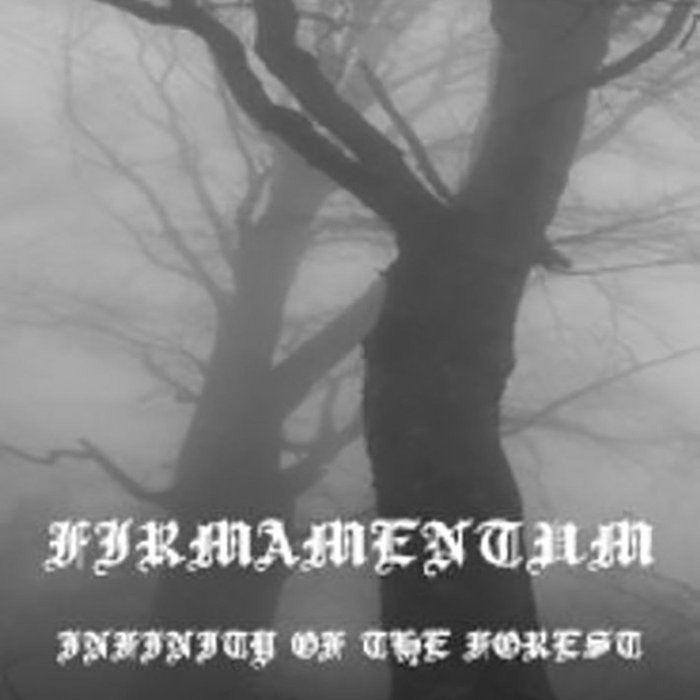 Infinity of the forest | Firmamentum | Autumn Aura
