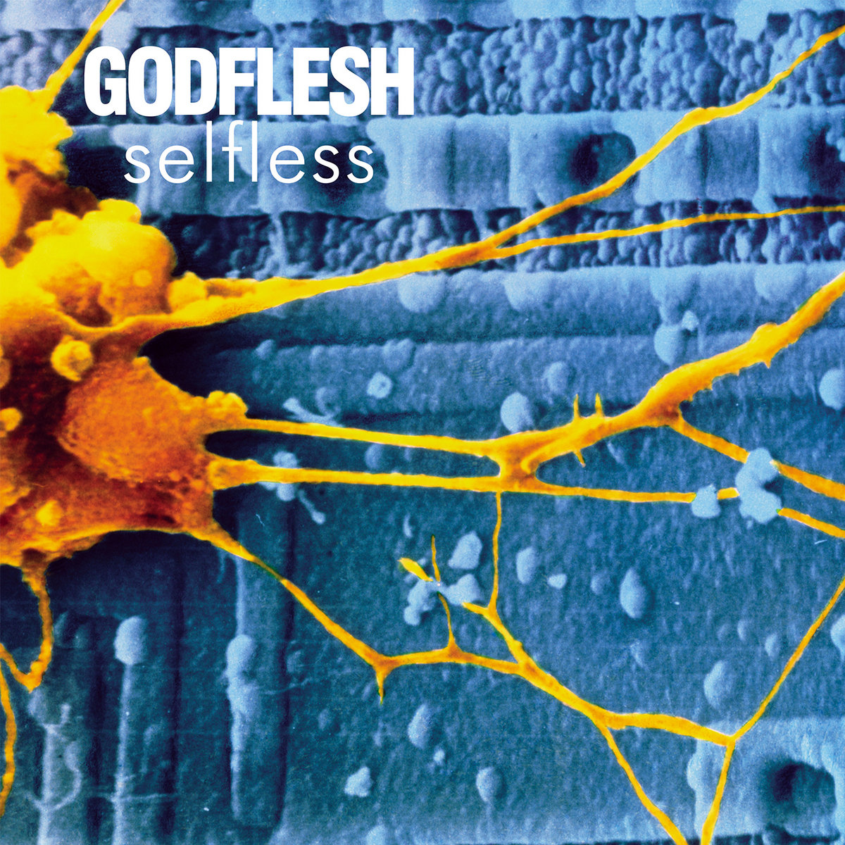 Selfless | Godflesh