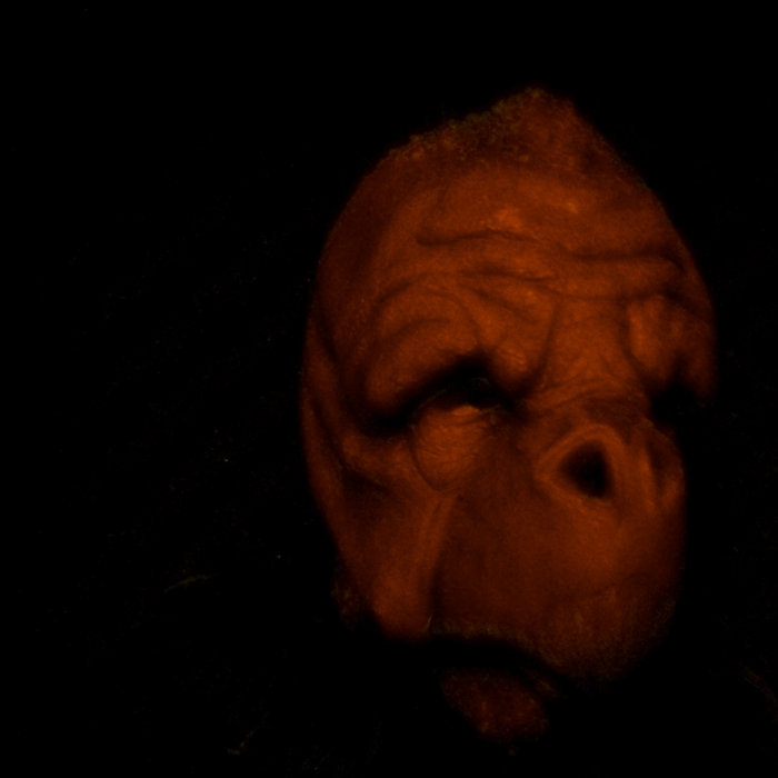 Empousai | A Shell in the Pit