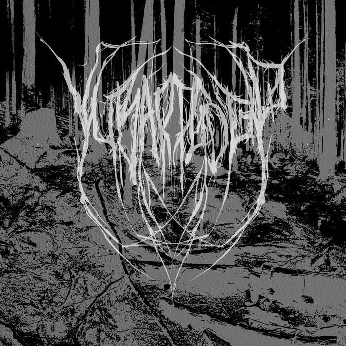 Cecilia was the first to go | YUBARI GOGO | Tomb Tree Tapes