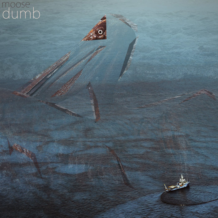 Dumb | Moose