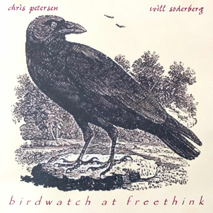 birdwatch at freethink | chris petersen with will soderberg... | the ...