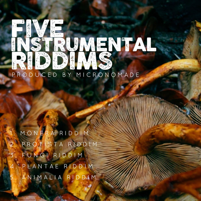 5 Instrumental Riddims by Micronomade | Micronomade