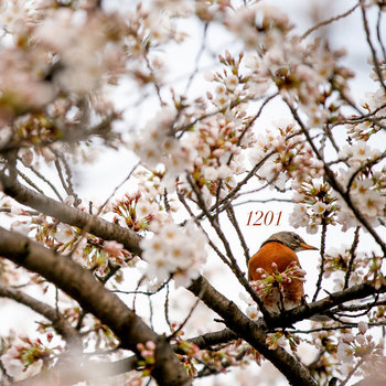 Music | Ryan Riveros