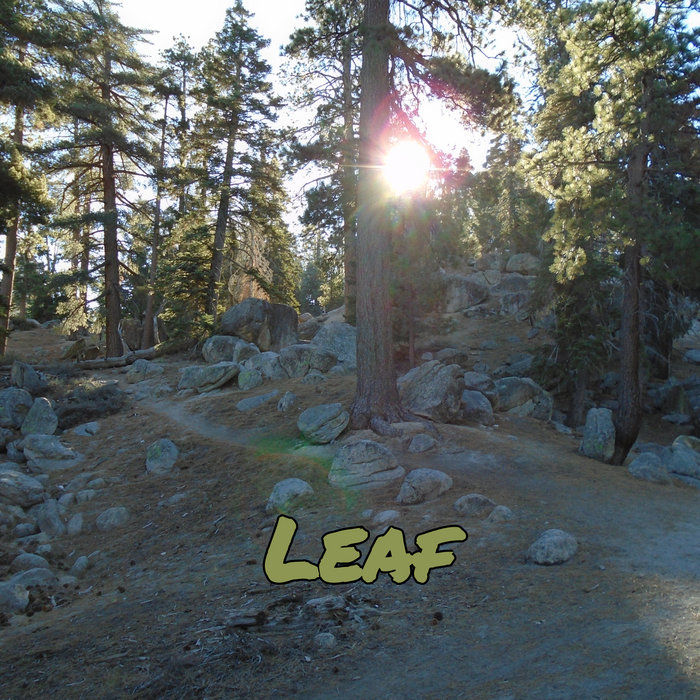 Natural Order | Leaf