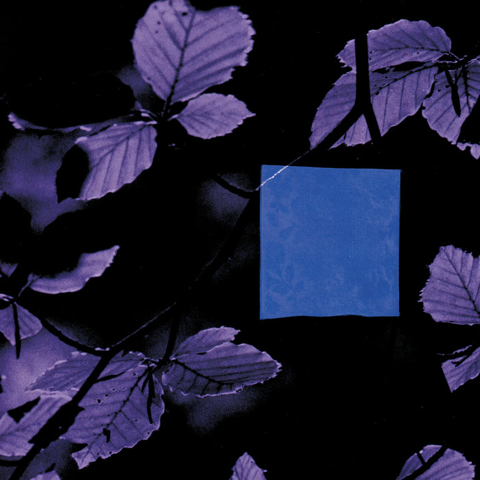 Boiling Sea | Atonet / Moonilena | Moloton