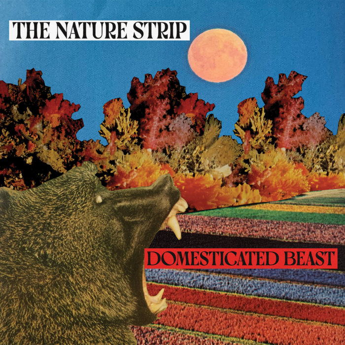 Domesticated Beast | The Nature Strip