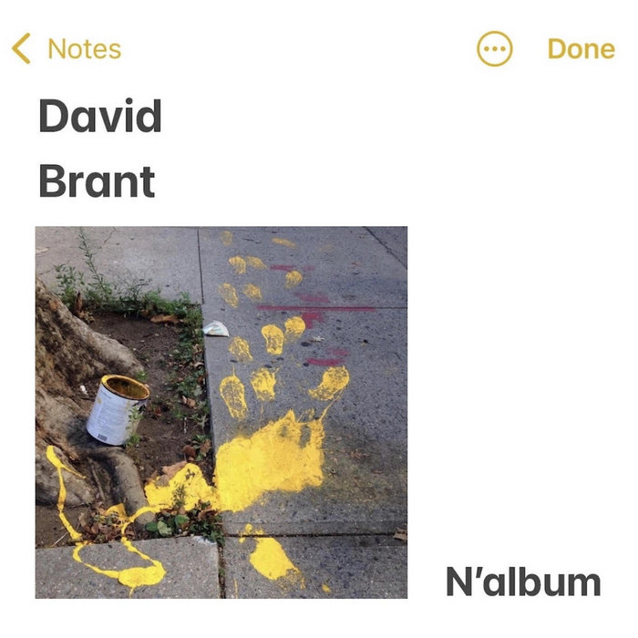 N'album | David Brant