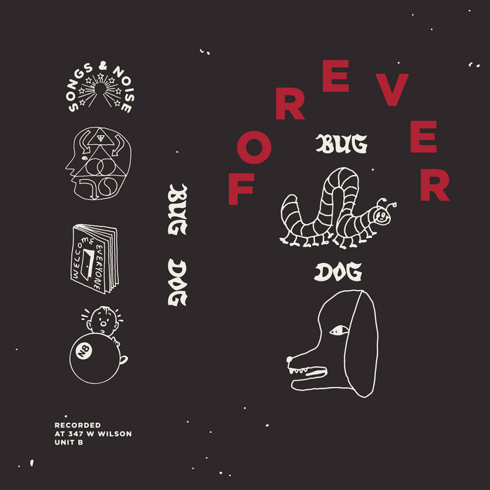 FOREVER | BUG DOG