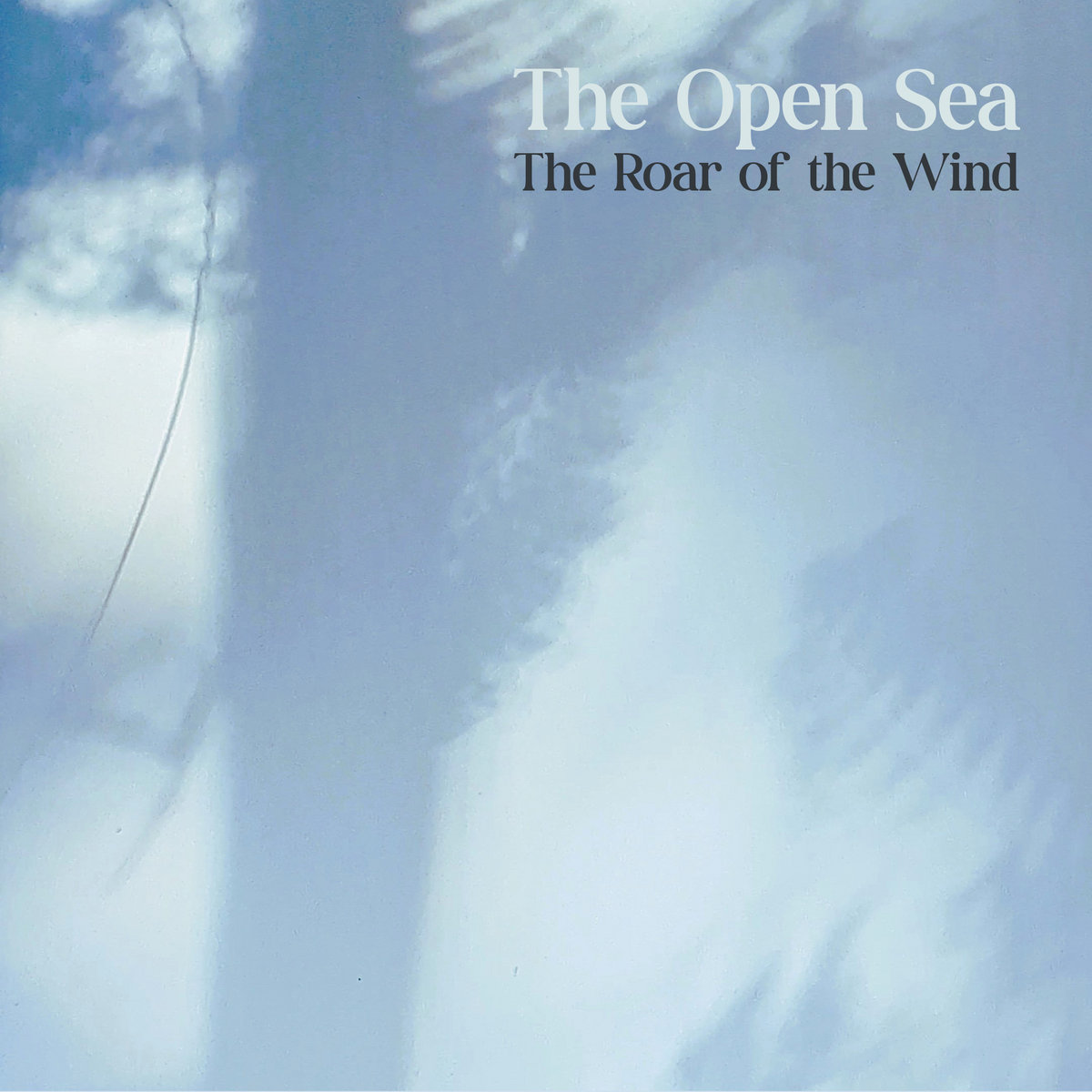 The Open Sea | The Roar of the Wind