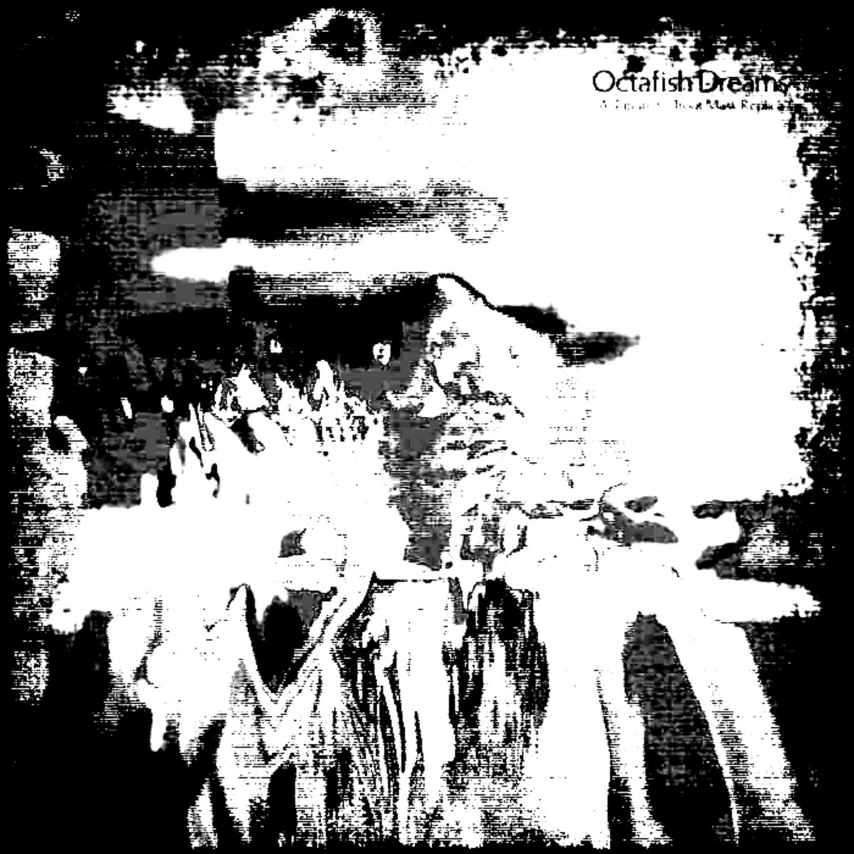 Octafish Dreams: Captain Beefheart Tribute Comp. Niacinamide ...