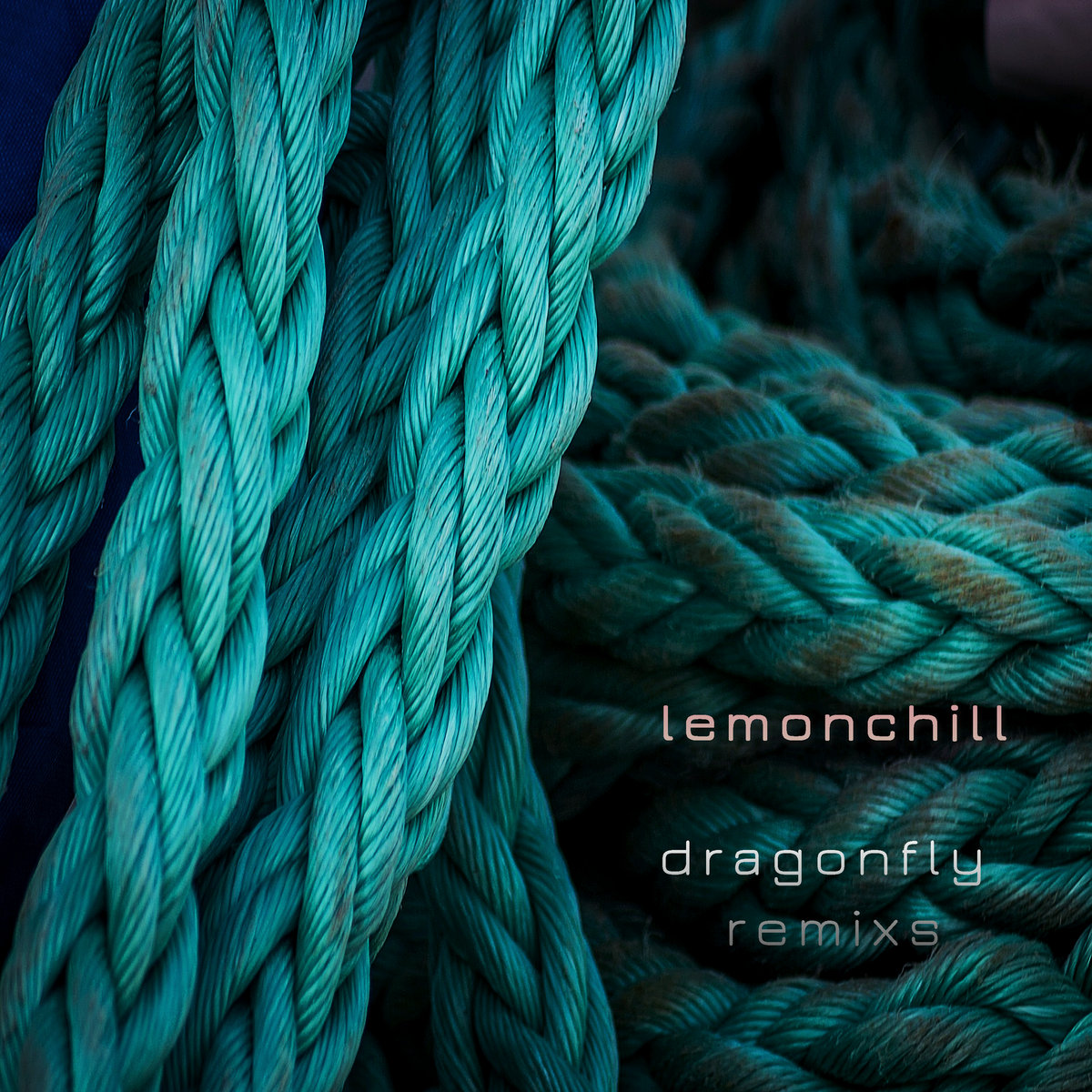 dragonfly remixs | lemonchill