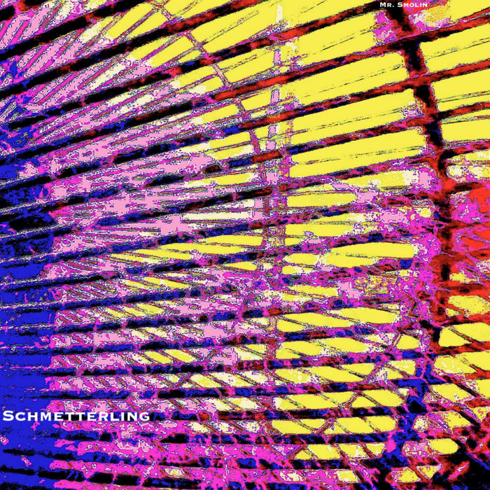 Schmetterling | Mr. Smolin