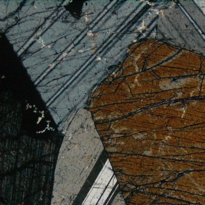 Tony Hoffman - Kepler | Diffuse Reality Records