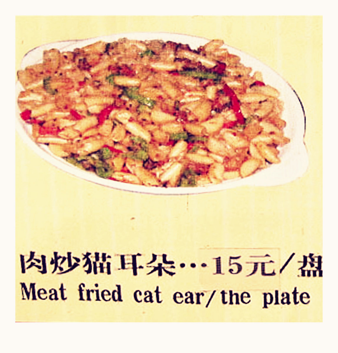 Fried Cat Meat