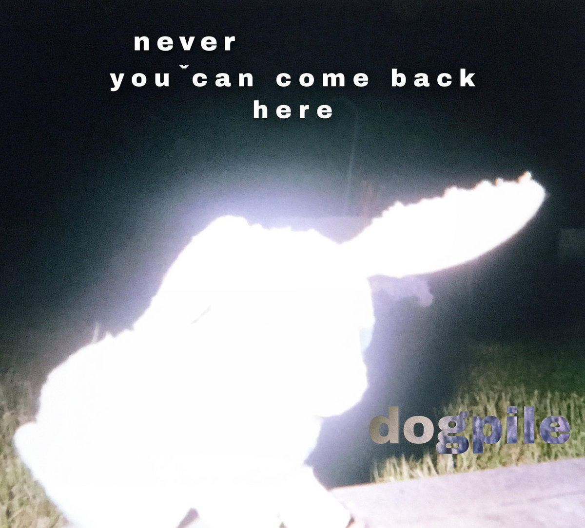 You Get Back Here Meme