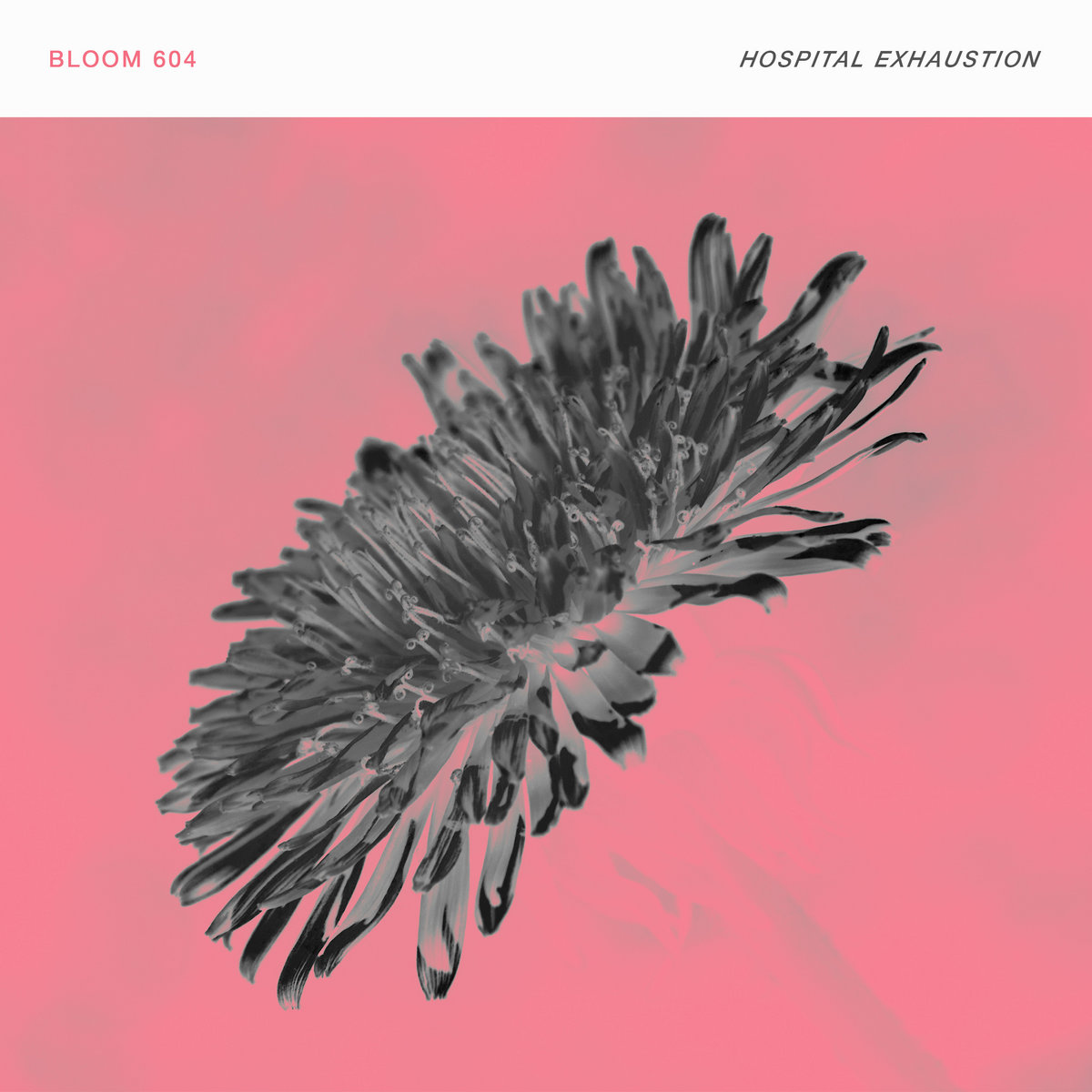 Hospital Exhaustion | BLOOM 604