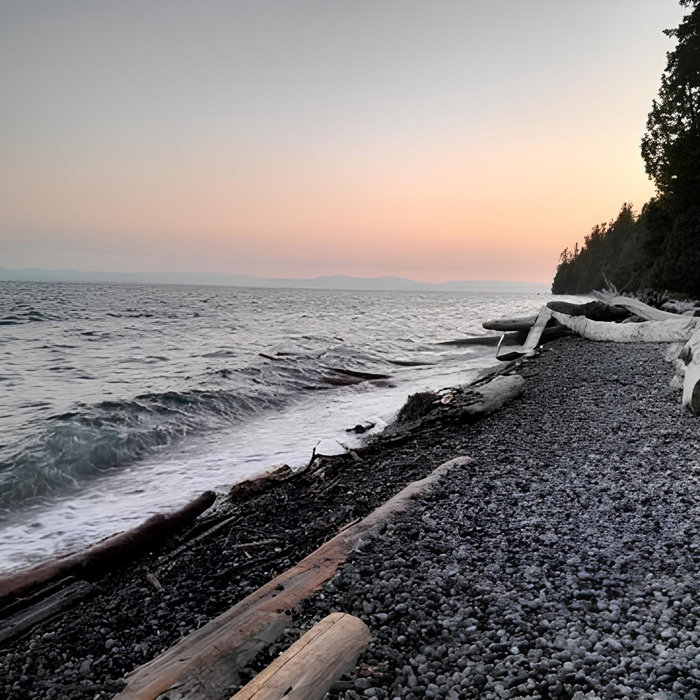 Big Waves & the Vestapol Douze e.p. | Fuzz Lewis