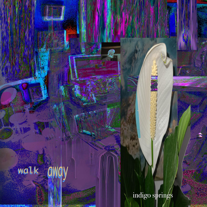 Walk Away | Indigo Springs