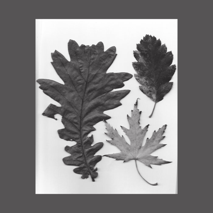 Sensation & Death | J. Wiegold | Jack Wiegold