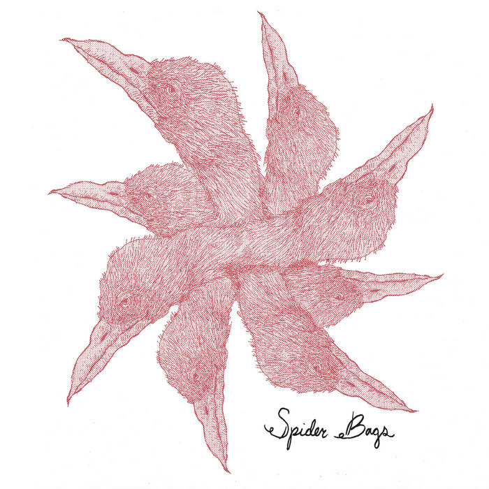 SPIDER BAGS "A Celebration of Hunger" | Spider Bags | Sophomore Lounge