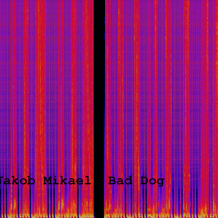 Bad Dog | Jakob Mikael