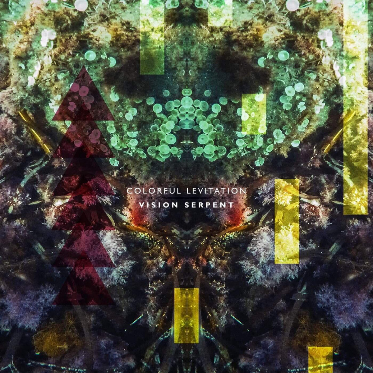 Vision Serpent EP | Colorful Levitation