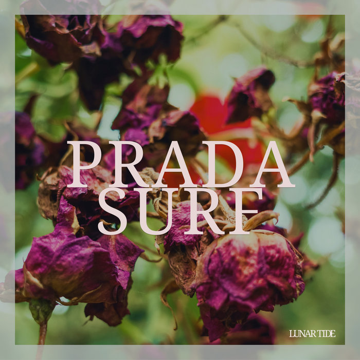 Prada Surf | Lunar Tide