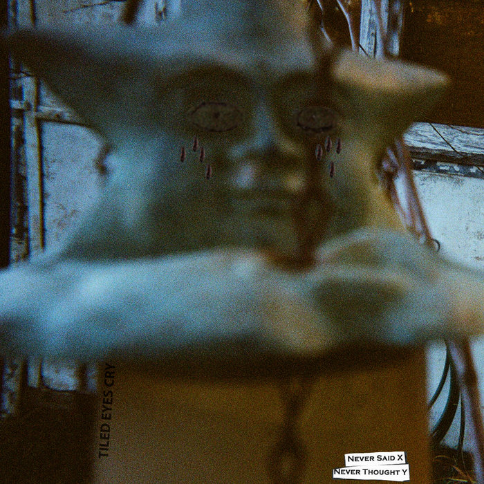 Tiled Eyes Cry | Never Said X. Never Thought Y.